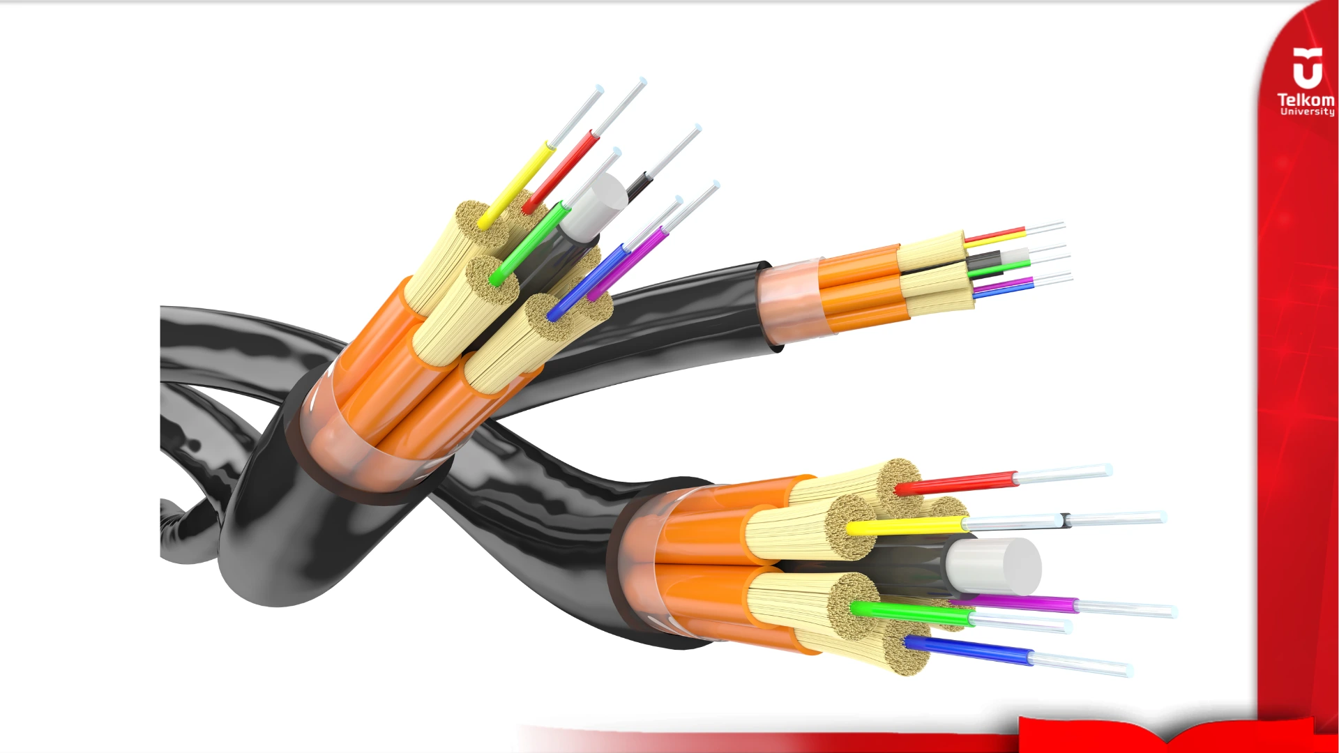 Jenis-Jenis Kabel Jaringan: UTP, STP, dan Fiber Optic - Universitas Telkom Jakarta
